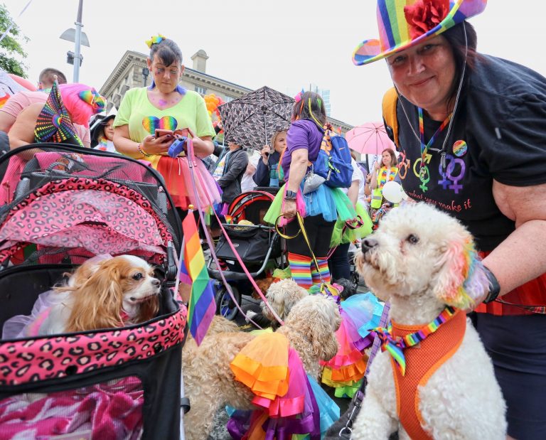 Belfast Pride | Diverse, Equal, Proud